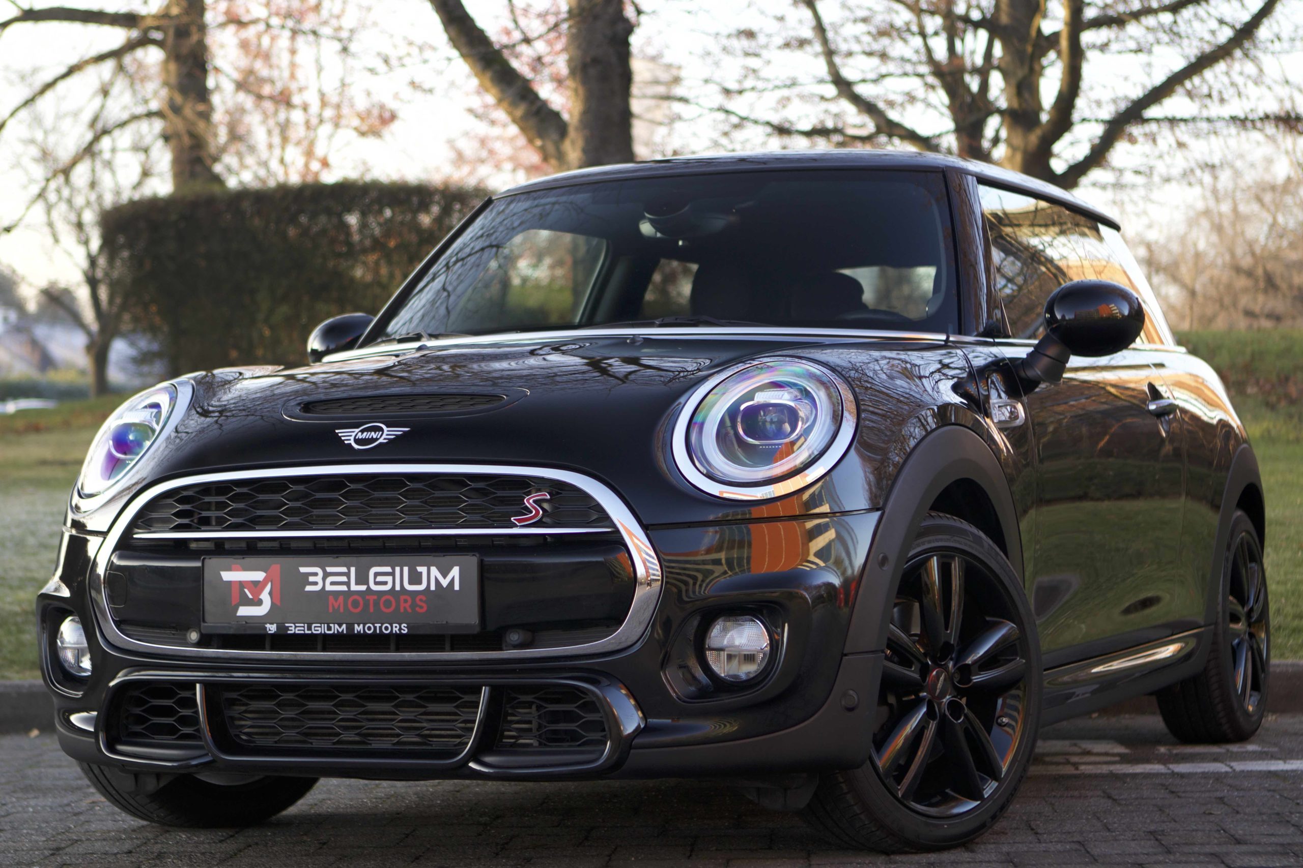 Our cars - Belgium Motors